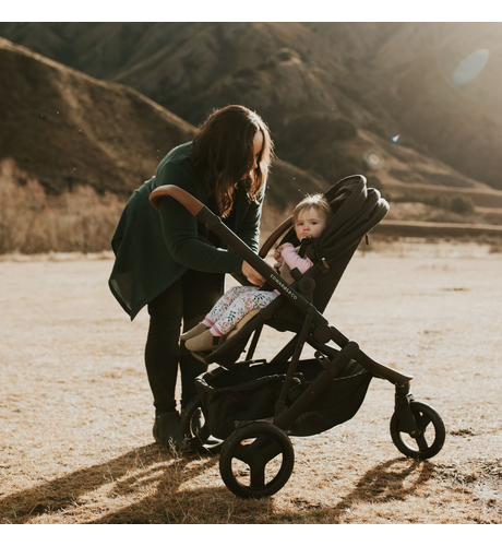 Edwards & Co Oscar Mx Stroller - Black Luxe - SHOP BY BRAND-Edwards ...