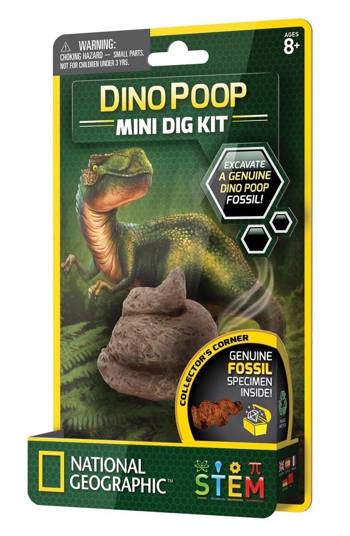National Geographic Dino Poop Mini Dig - PLAY-Art & Craft : Kids ...