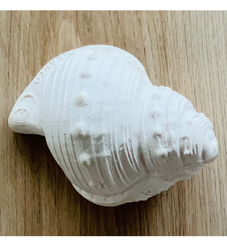 Lanco Karacola Whelk Shell - BABY ESSENTIALS-Feeding-Teething : Kids ...