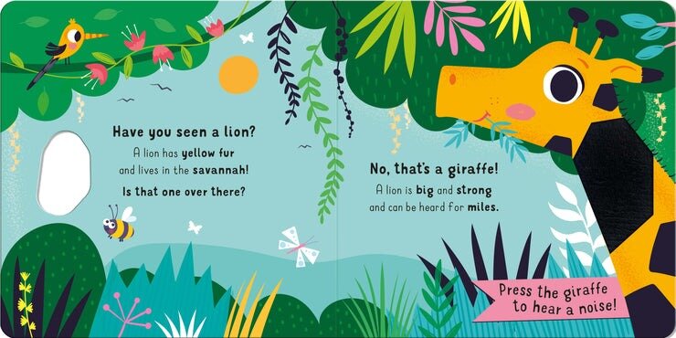 Lion Touch & Feel Sound Book - PLAY-Books : Kids Clothing NZ : Shop ...