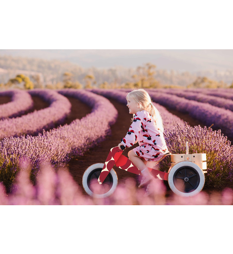 Wishbone 3-in-1 Balance Bike - Red Spot - PLAY-Outdoor Toys : Kids ...